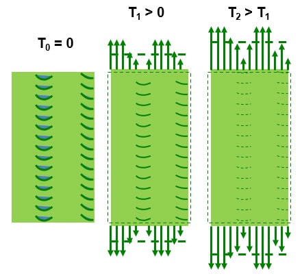 1B – Baggy & Cambered Webs – TJWalker + Associates, Inc.